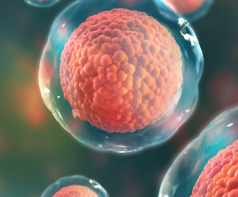 Regenerative Medicines – SmartCella