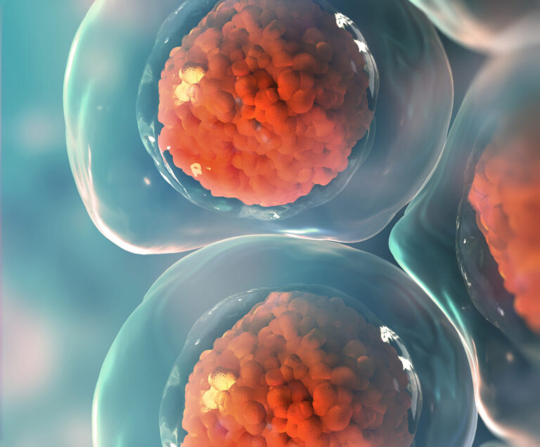 Regenerative Medicines – SmartCella