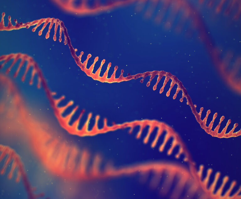 Regenerative Medicines – SmartCella